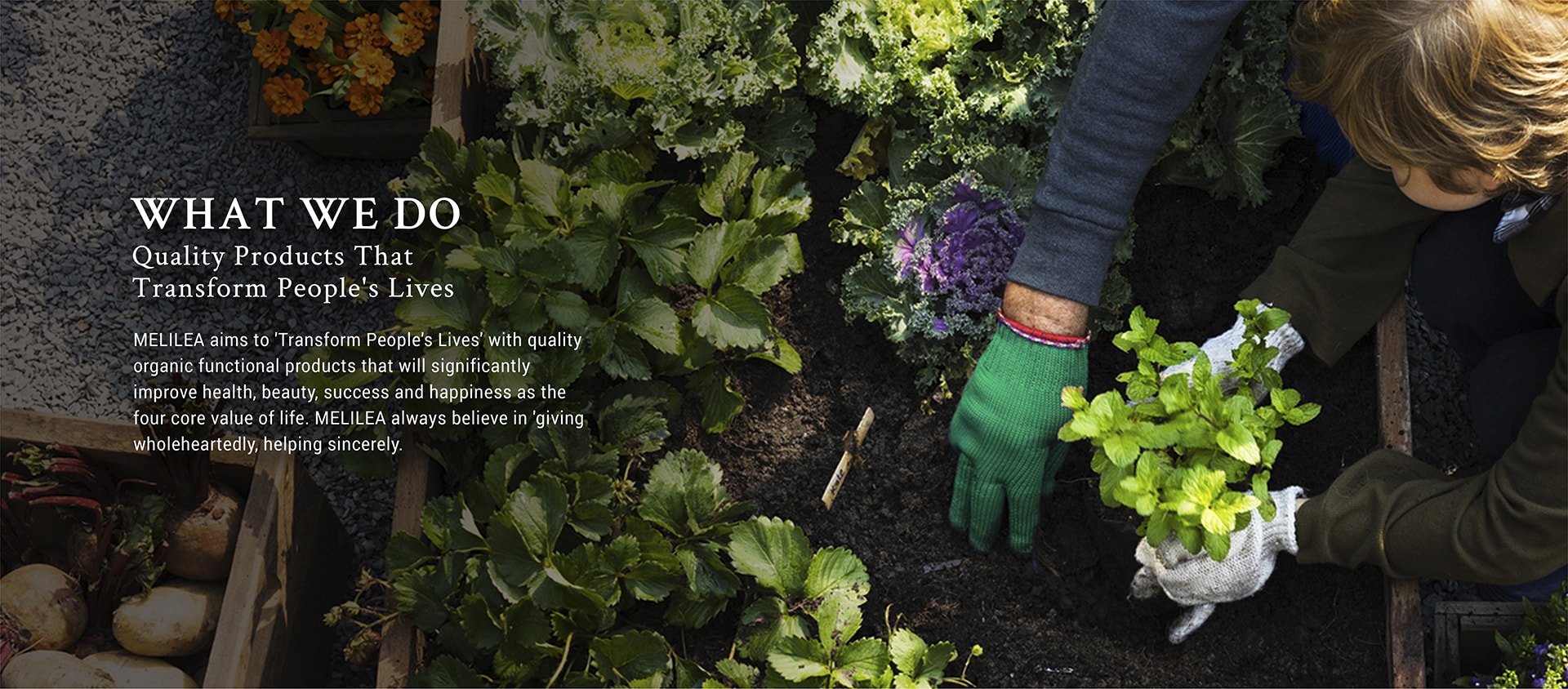 What we do | MELILEA Malaysia