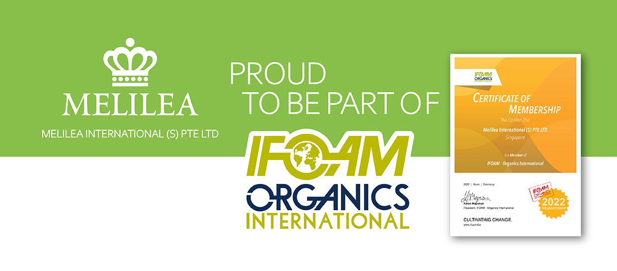 MELILEA Malaysia – Transform Your Life…